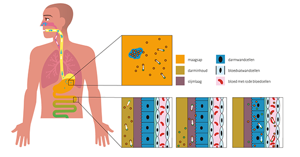 Wat is Chroom-6? | RIVM